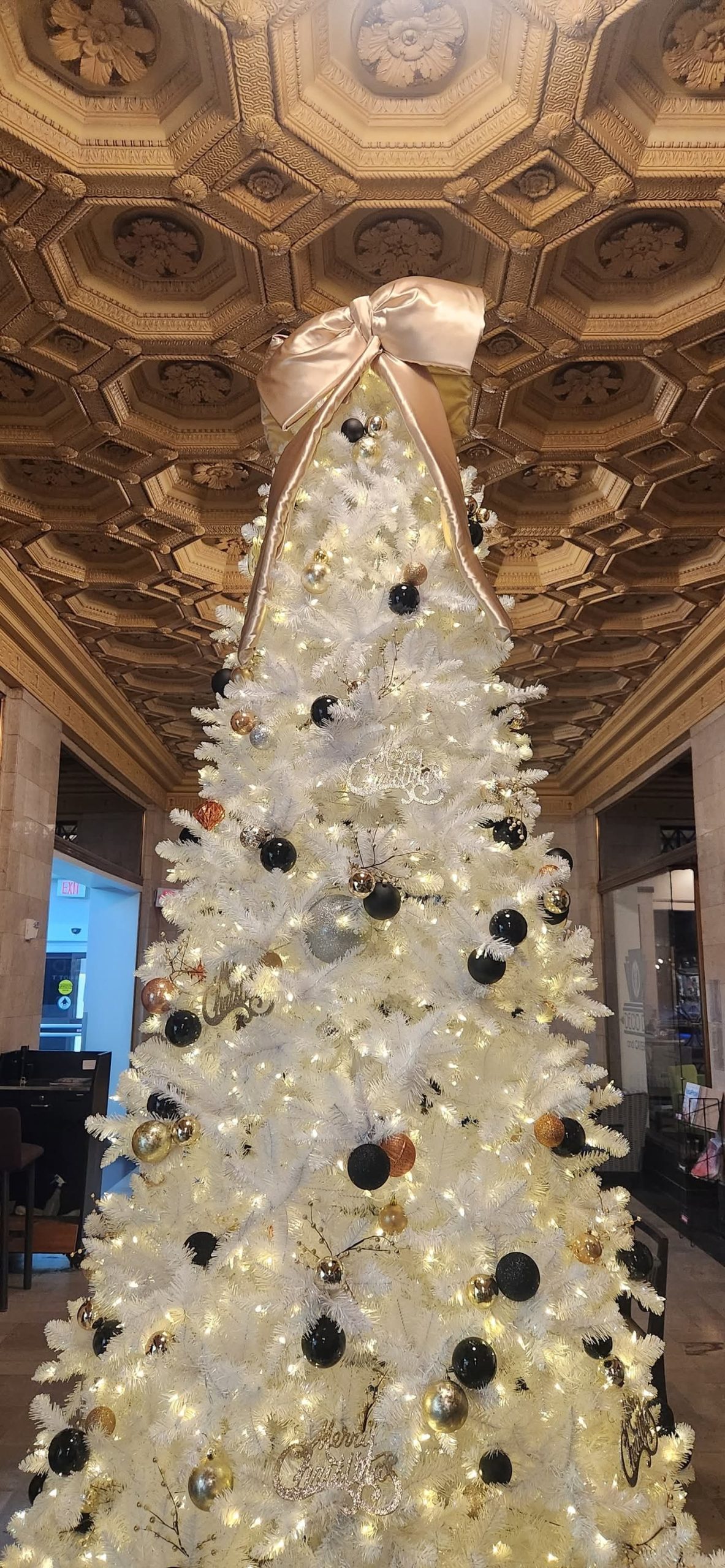 Merry Christmas! - Tulsa Town Vet Hospital (918) 794-5566
